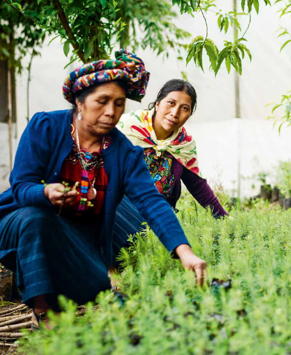 Eventletter – RVR Service AG